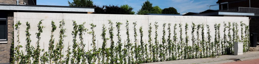 Bosch Beton - Séparation de terrains en murs de soutènement entre deux ...